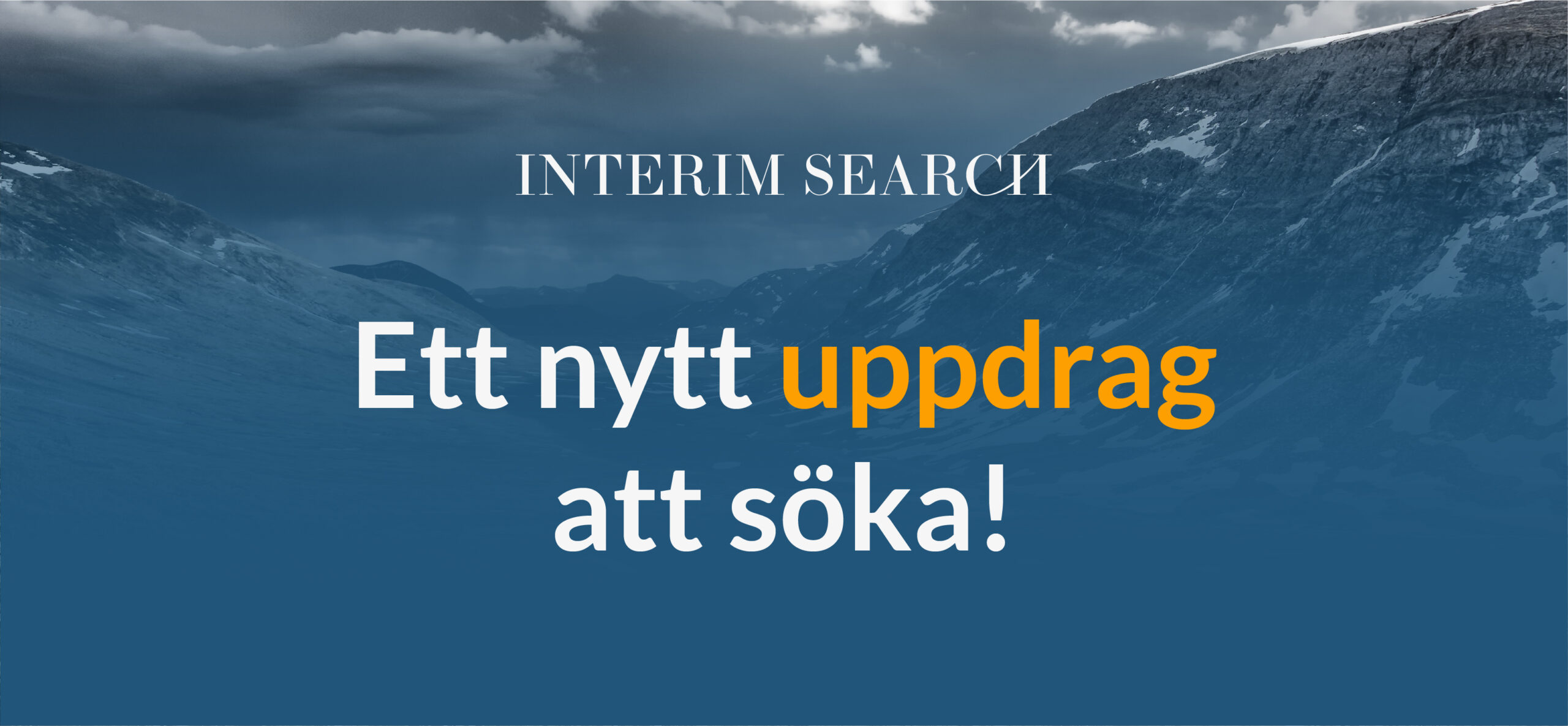 Interim Business Controller - Interim Search