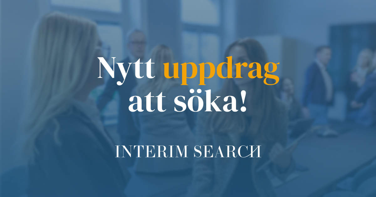 Interim Programledare - Interim Search